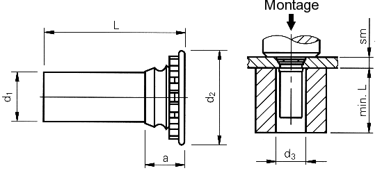 FH-3MM-6 - Self-clinching flush head pins | KVT-Fastening Austria & CEE